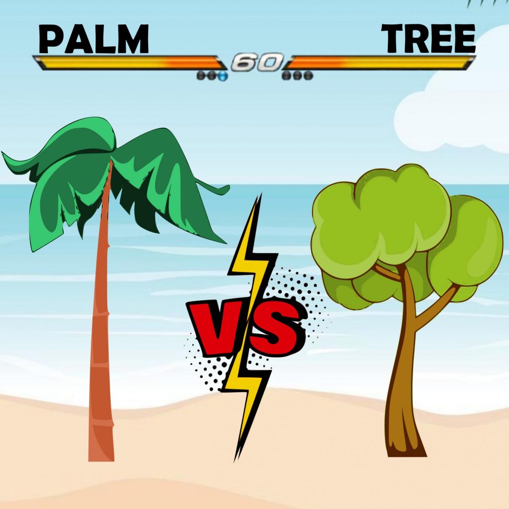 Are palms actually trees? - Palmer Brothers